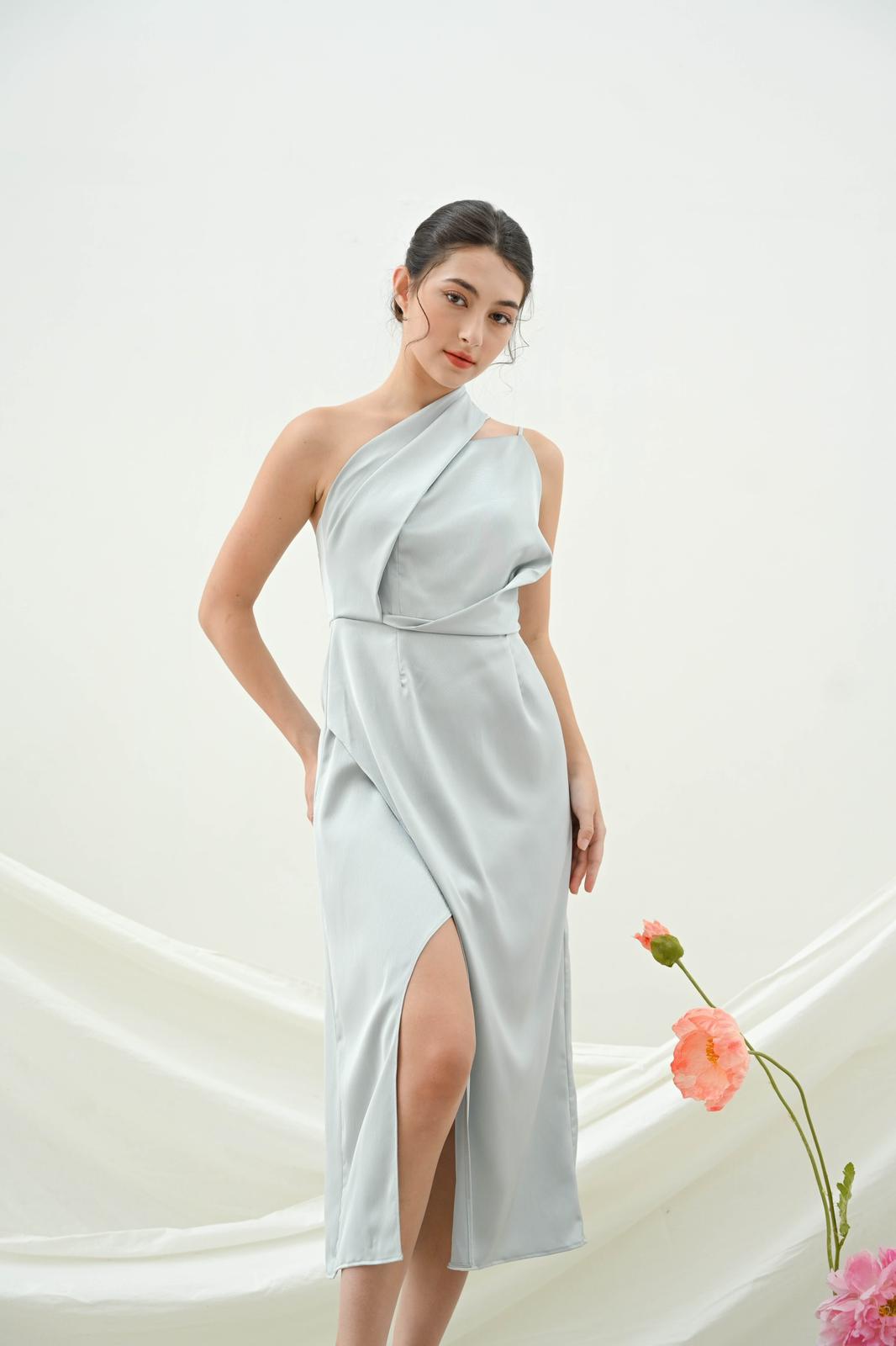 Astoria Ash Dress – Gailbook